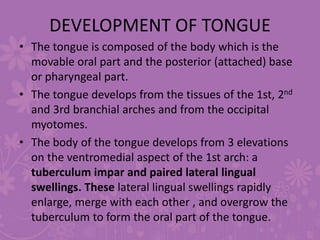 DEVELOPMENT OF FACE AND ORAL CAVITY | PPTX