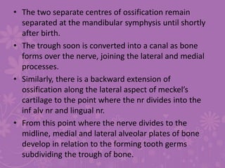 DEVELOPMENT OF FACE AND ORAL CAVITY | PPTX