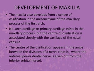 DEVELOPMENT OF FACE AND ORAL CAVITY | PPTX