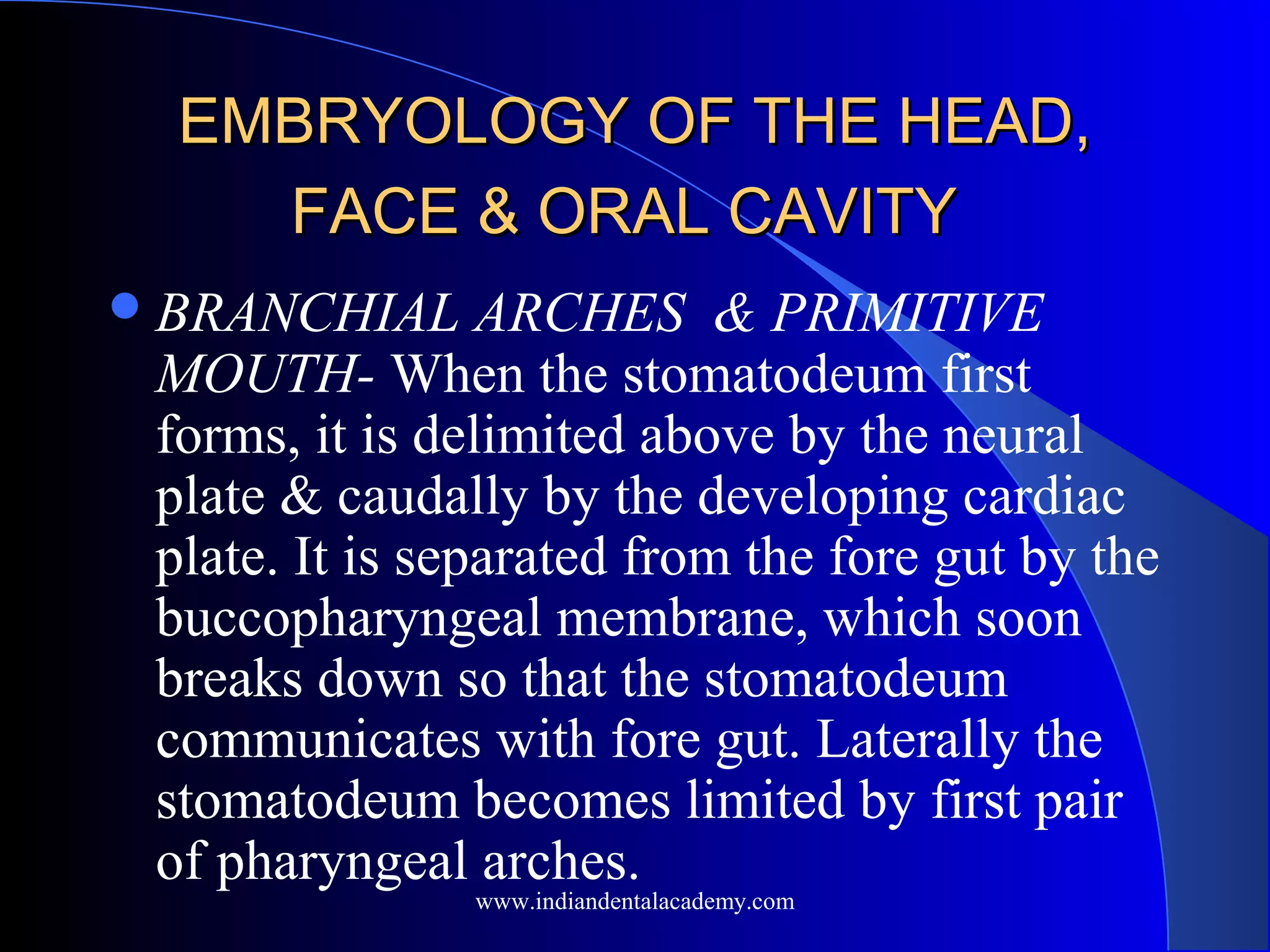 Development of face and oral cavity / dental implant courses | PPT