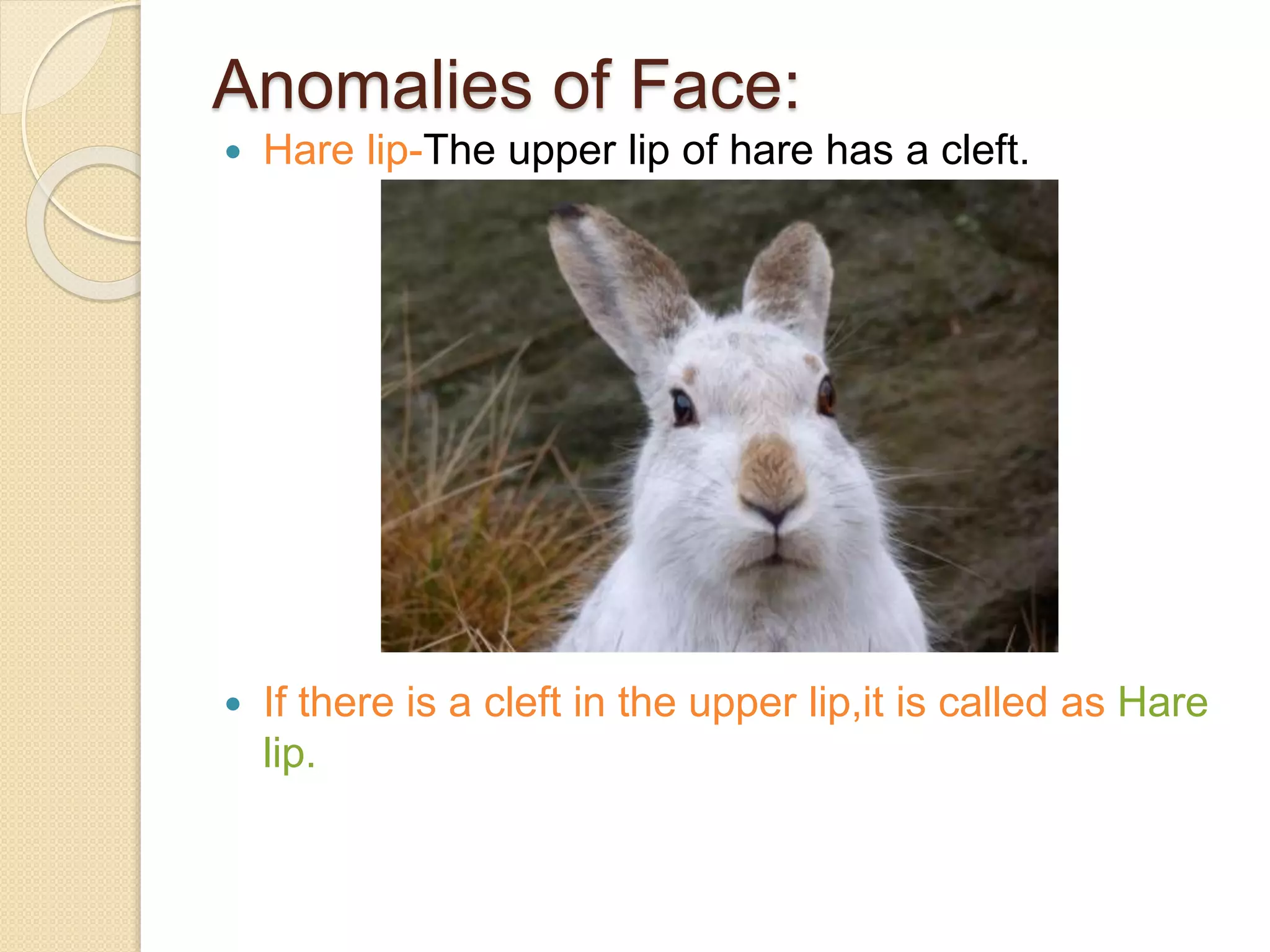 Development of face including nose ppt | PPTX