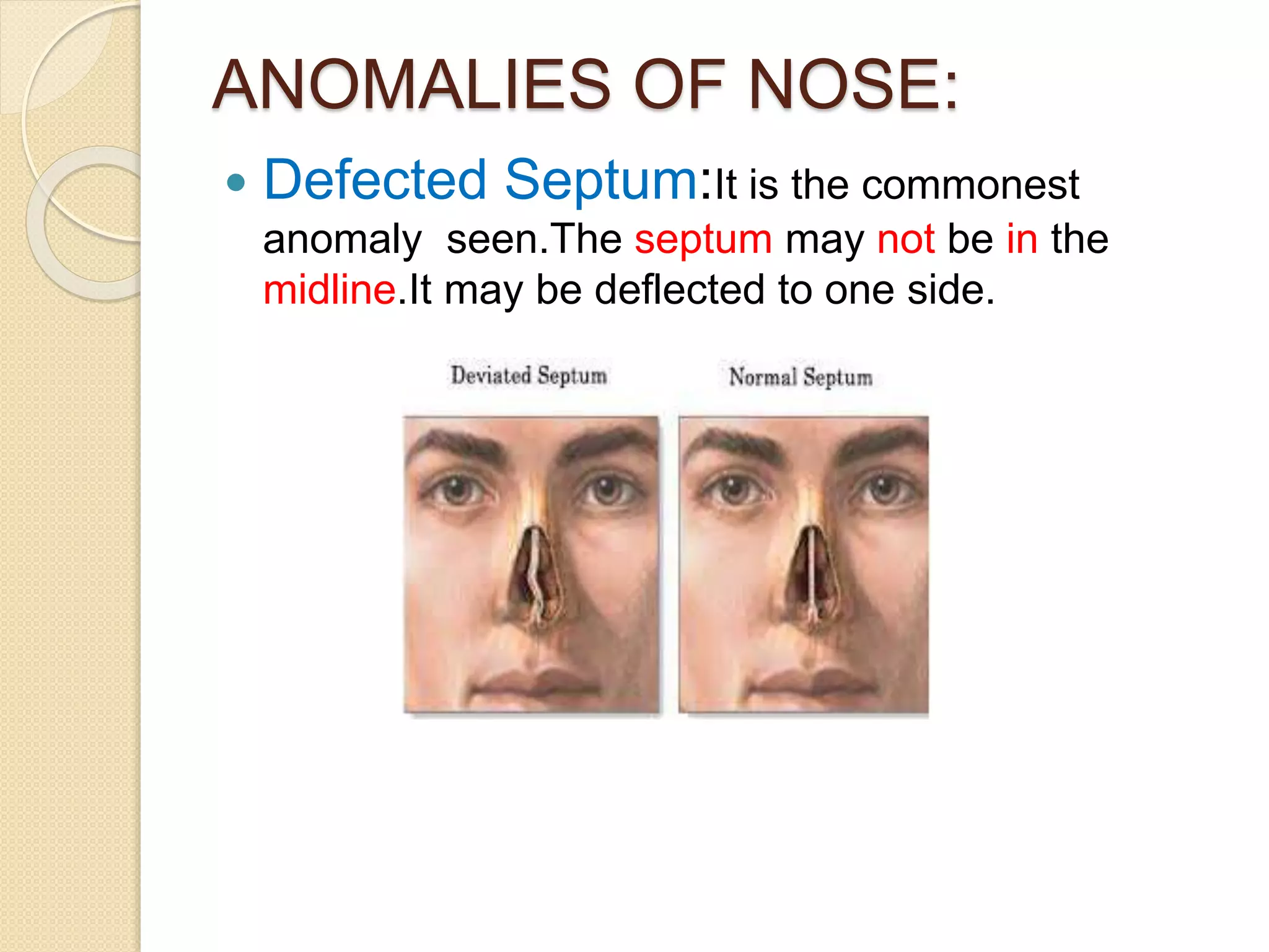 Development of face including nose ppt | PPTX