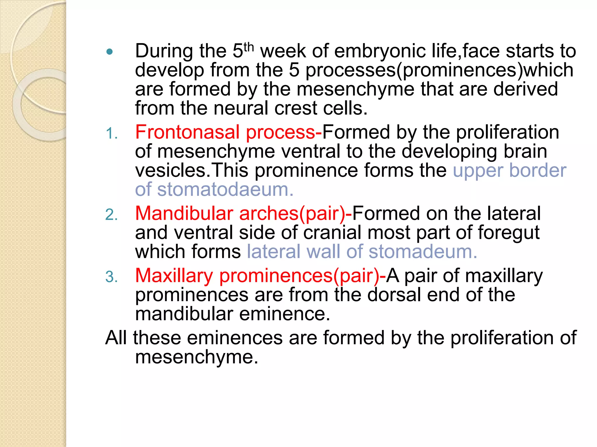 Development of face including nose ppt | PPTX