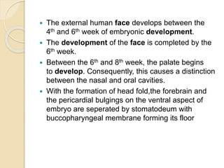 Development of face including nose ppt | PPTX