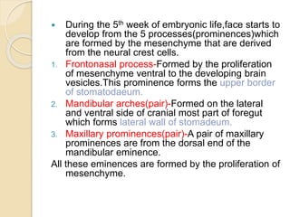Development of face including nose ppt | PPTX
