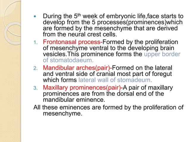 Development of face including nose ppt | PPT