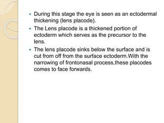 Development of face including nose ppt | PPTX