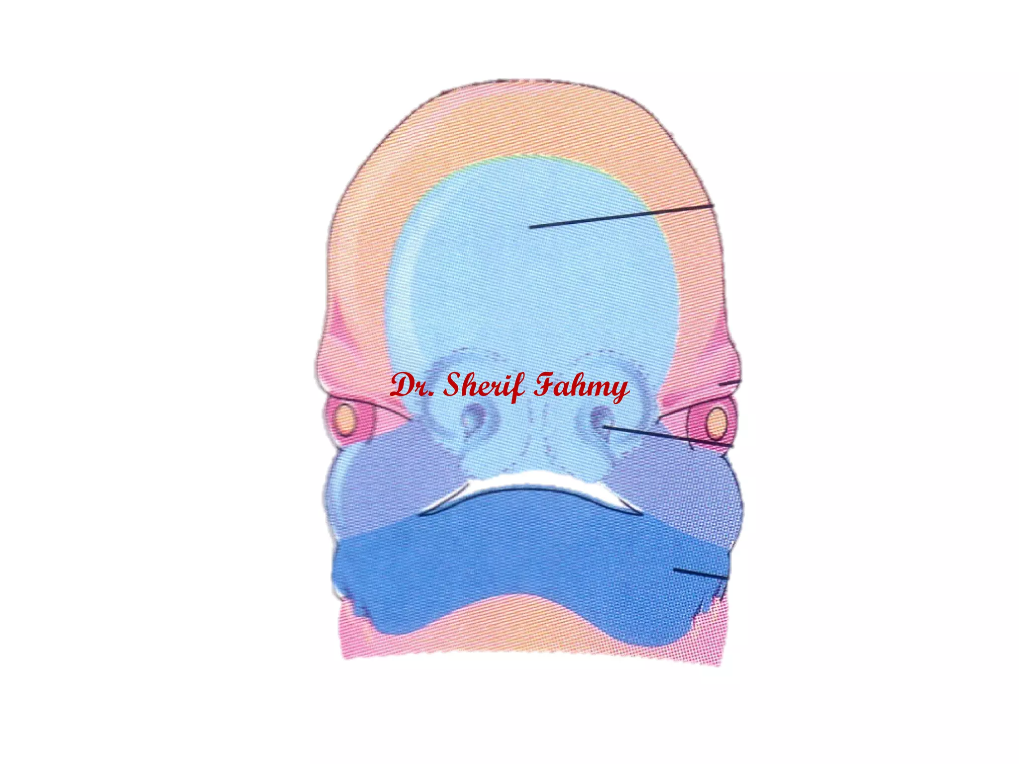 Development of Face, Nose and Palate (Special Embryology) | PPS