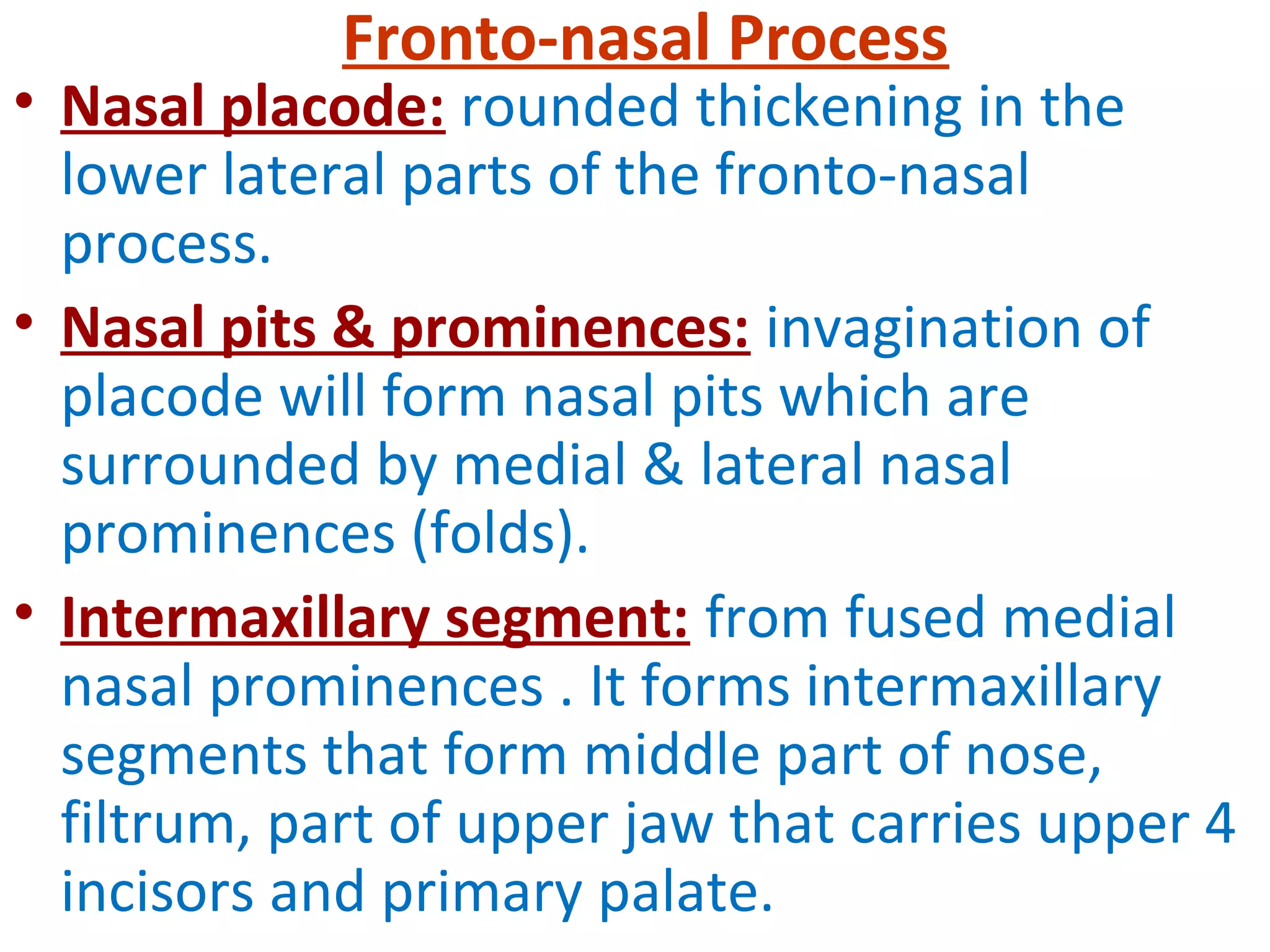 Development of Face, Nose and Palate (Special Embryology) | PPS