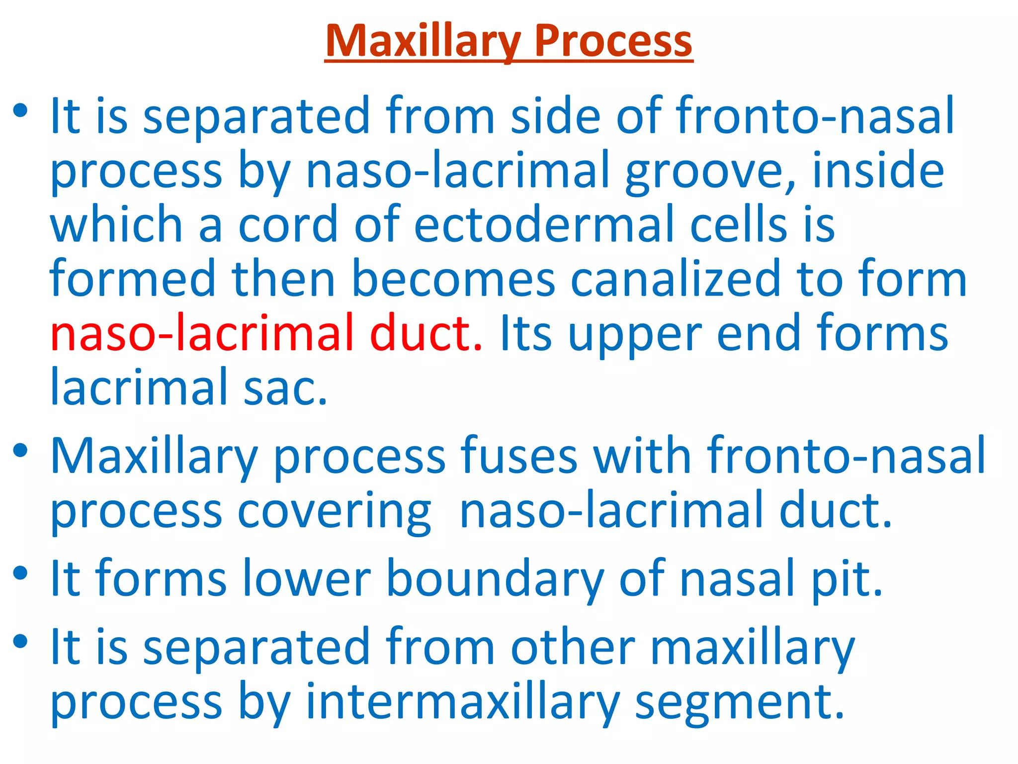 Development of Face, Nose and Palate (Special Embryology) | PPS