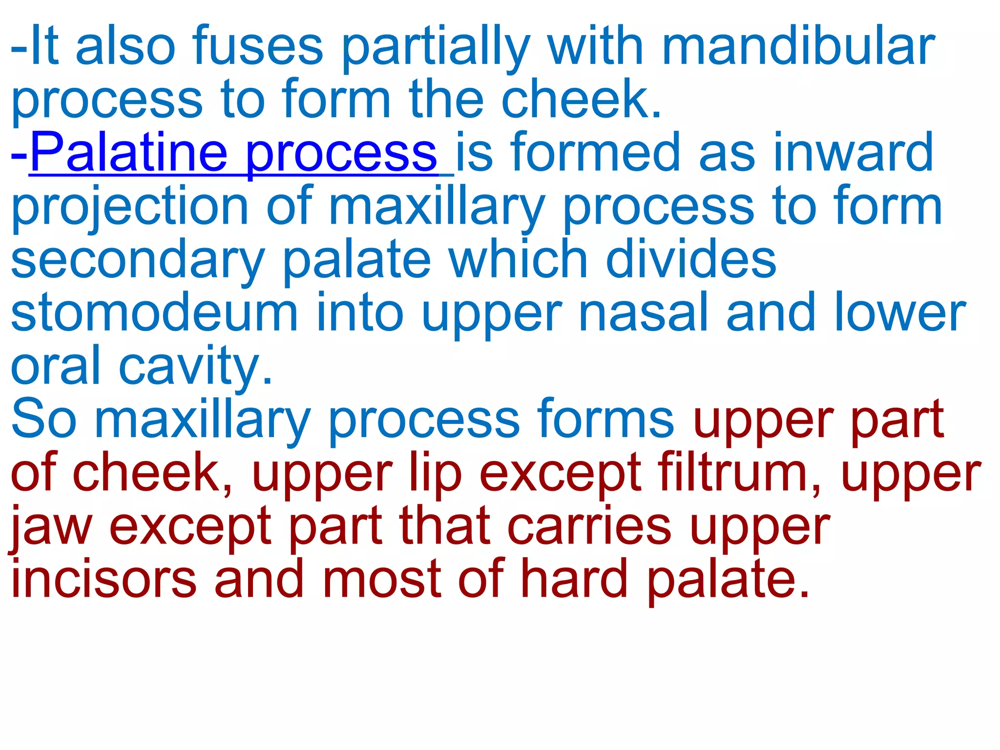 Development of Face, Nose and Palate (Special Embryology) | PPS