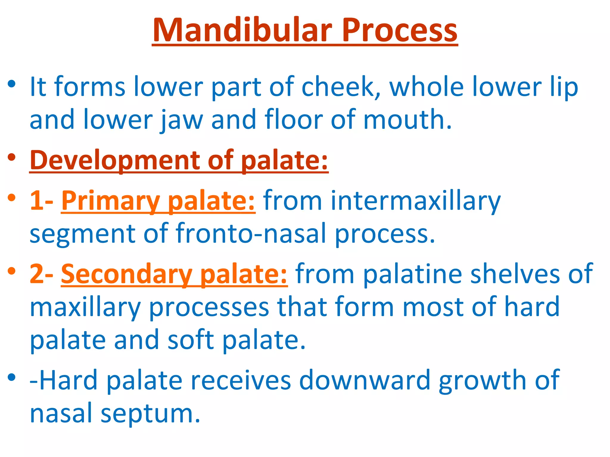 Development of Face, Nose and Palate (Special Embryology) | PPS