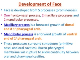 Development of Face, Nose and Palate (Special Embryology) | PPS
