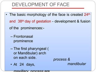 Development of face, palate, tongue and mandible | PPTX