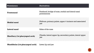Development of Face, Palate and Nasal Cavity Part 1 By Dr. Rabia Inam ...