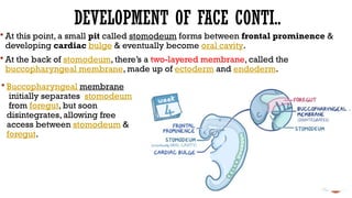 Development of Face, Palate and Nasal Cavity Part 1 By Dr. Rabia Inam ...