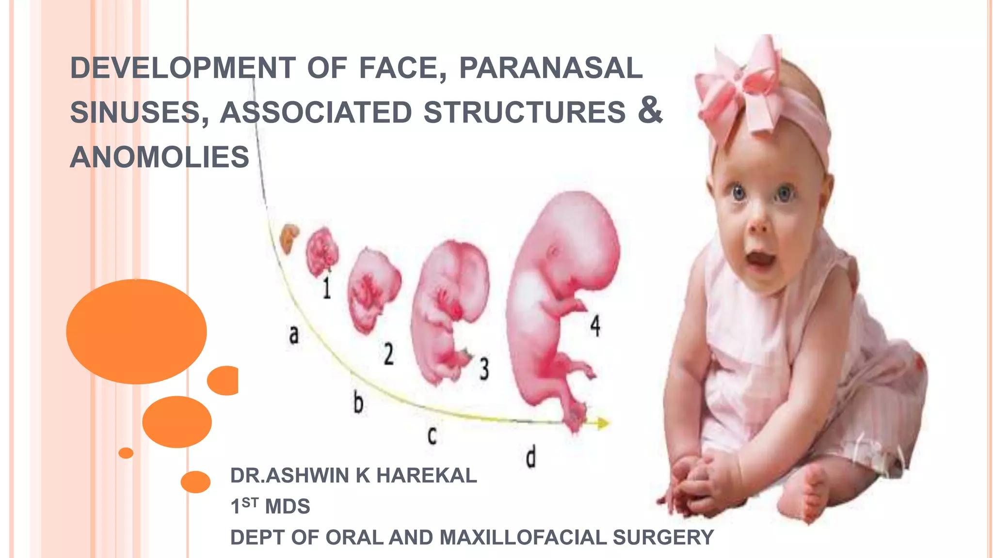 Development of face, paranasal sinus. | PPTX