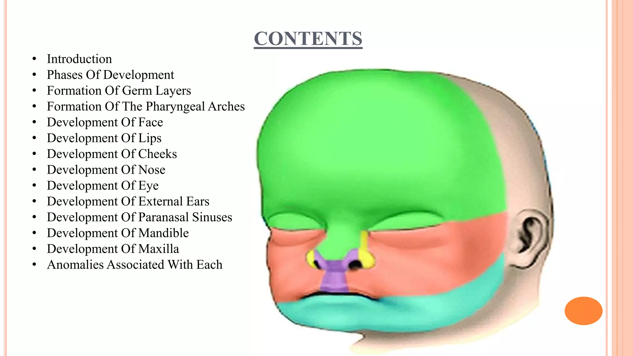 Development of face, paranasal sinus. | PPTX
