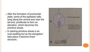 Development of face, paranasal sinus. | PPTX