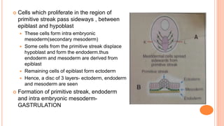 Development of face, paranasal sinus. | PPTX