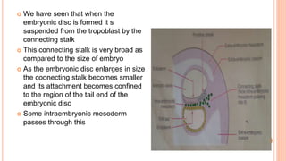Development of face, paranasal sinus. | PPTX
