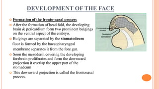 Development of face, paranasal sinus. | PPTX