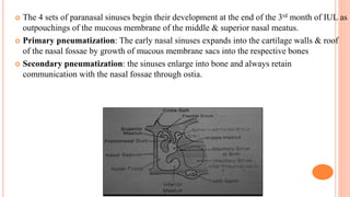 Development of face, paranasal sinus. | PPTX