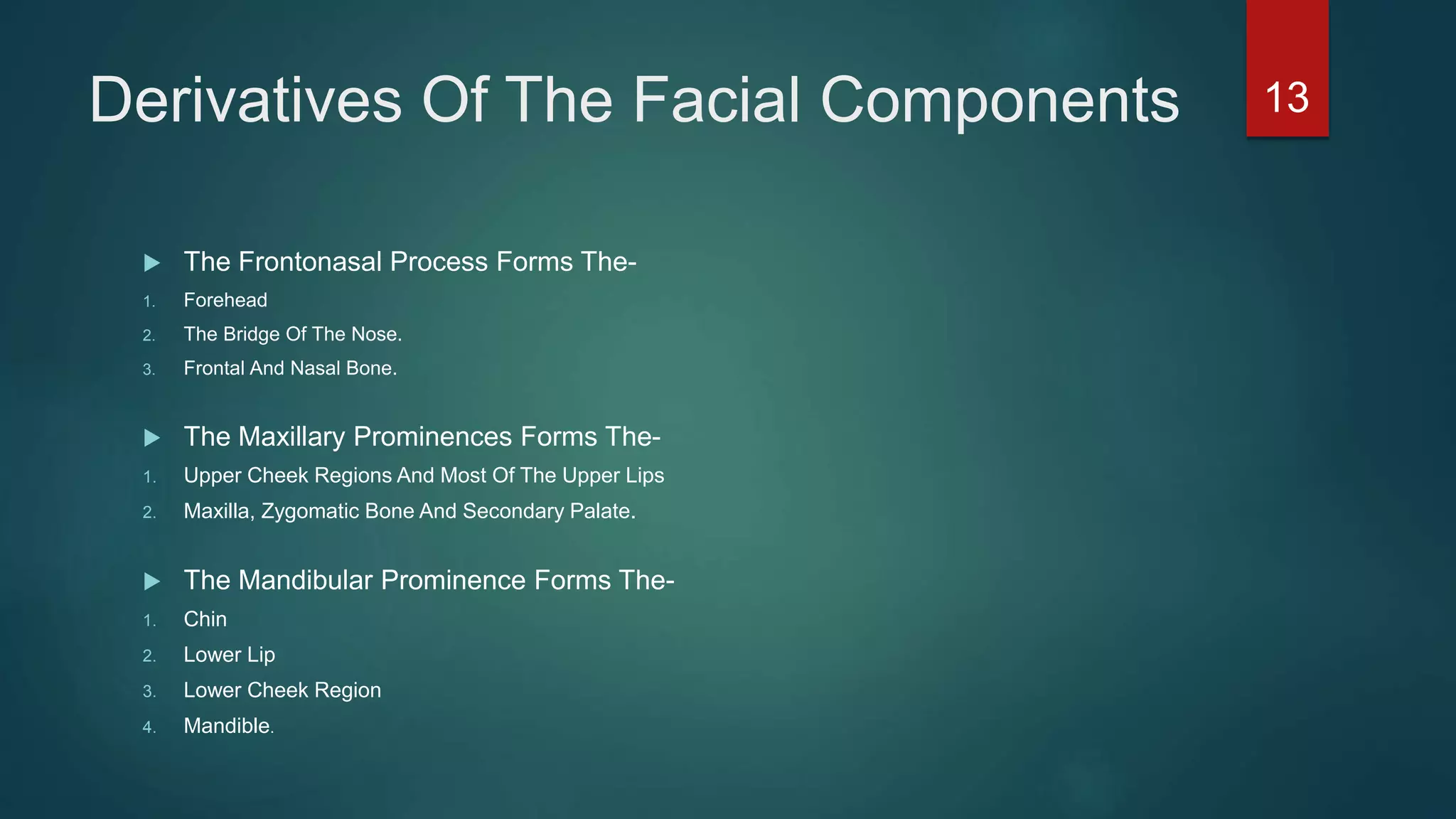 Development of Face Part 1 | PPTX