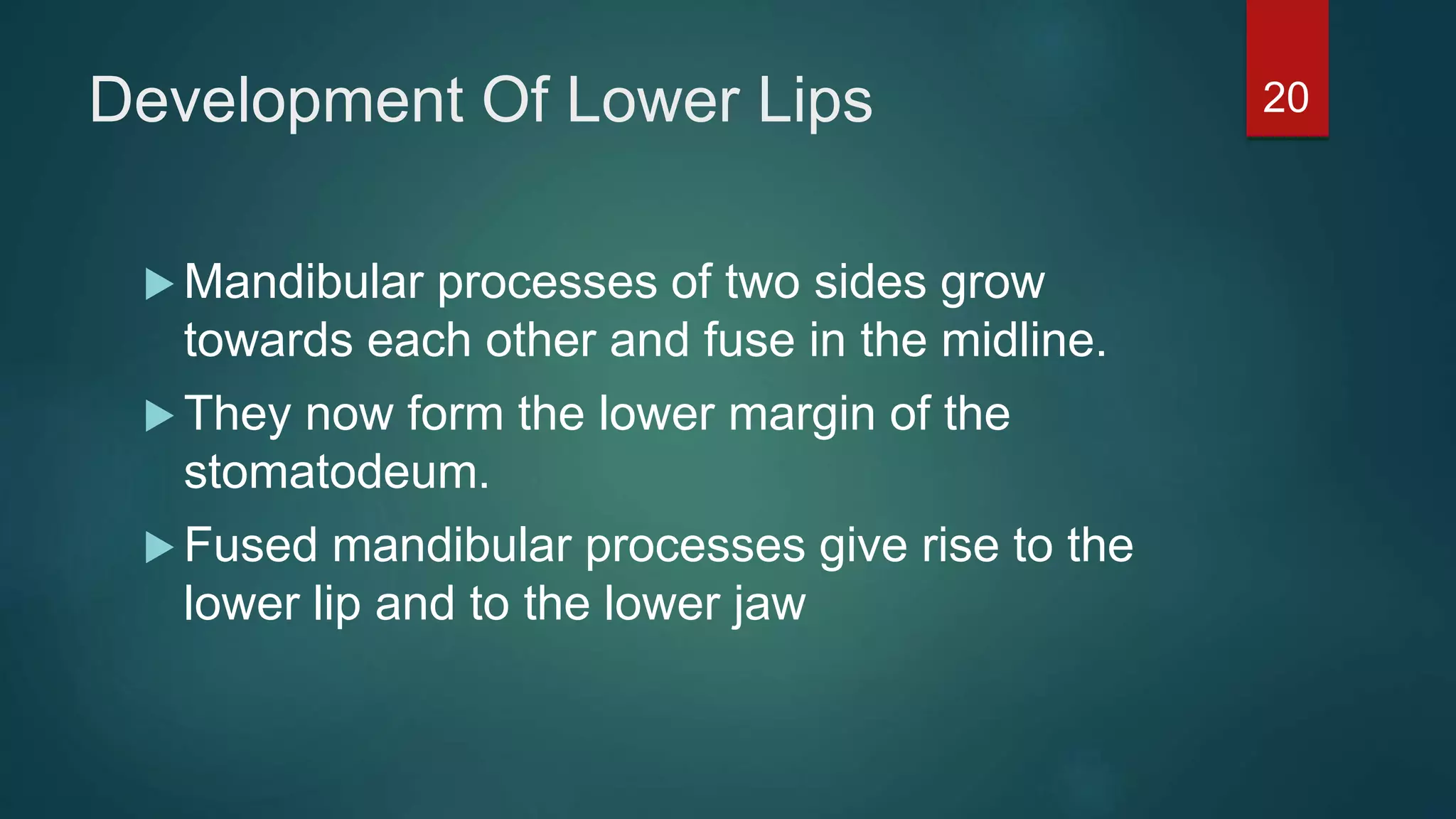 Development of Face Part 1 | PPTX