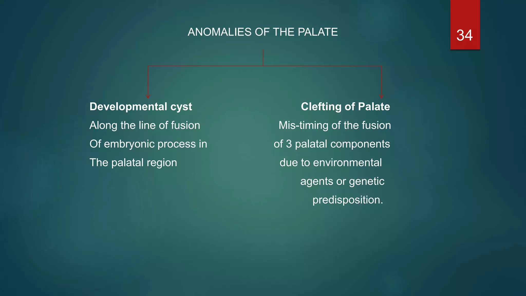 Development of Face Part 1 | PPTX