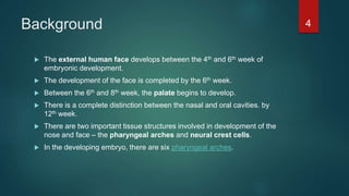 Development of Face Part 1 | PPTX