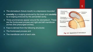 Development of Face Part 1 | PPTX