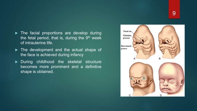 Development of Face Part 1 | PPTX