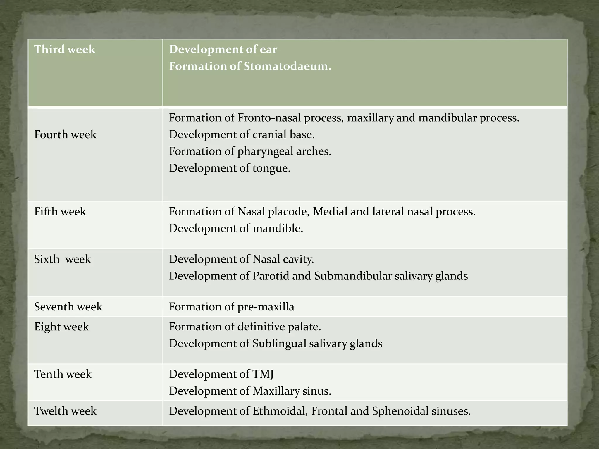 Development of face & Developmental anomalies | PPTX