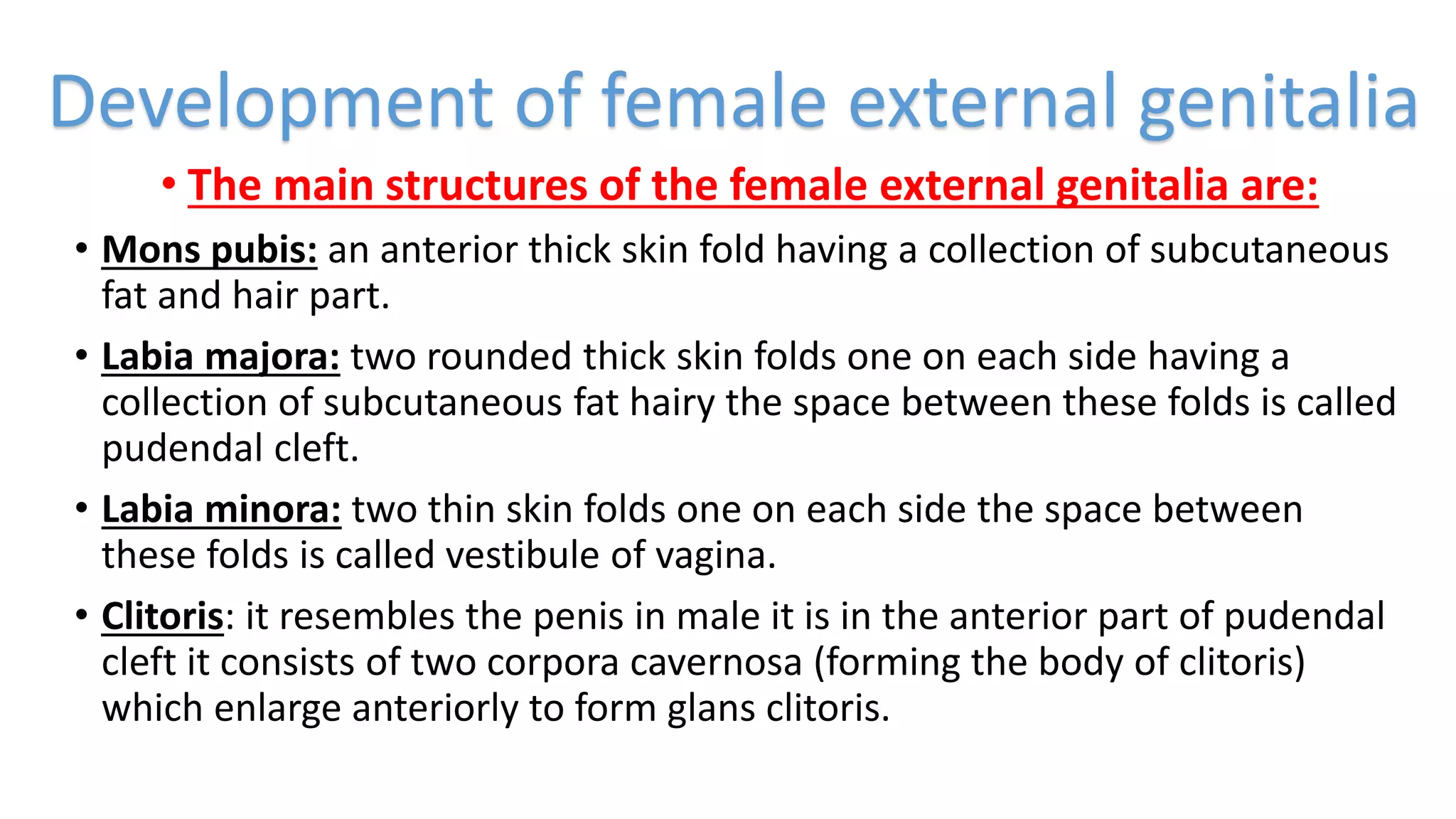 Development of female external genitalia | PPTX