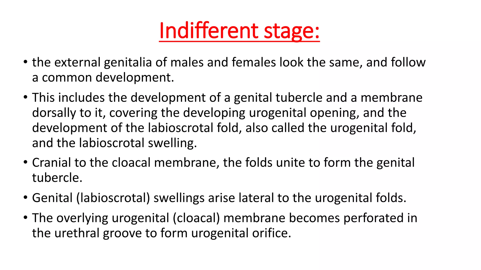 Development of female external genitalia | PPTX
