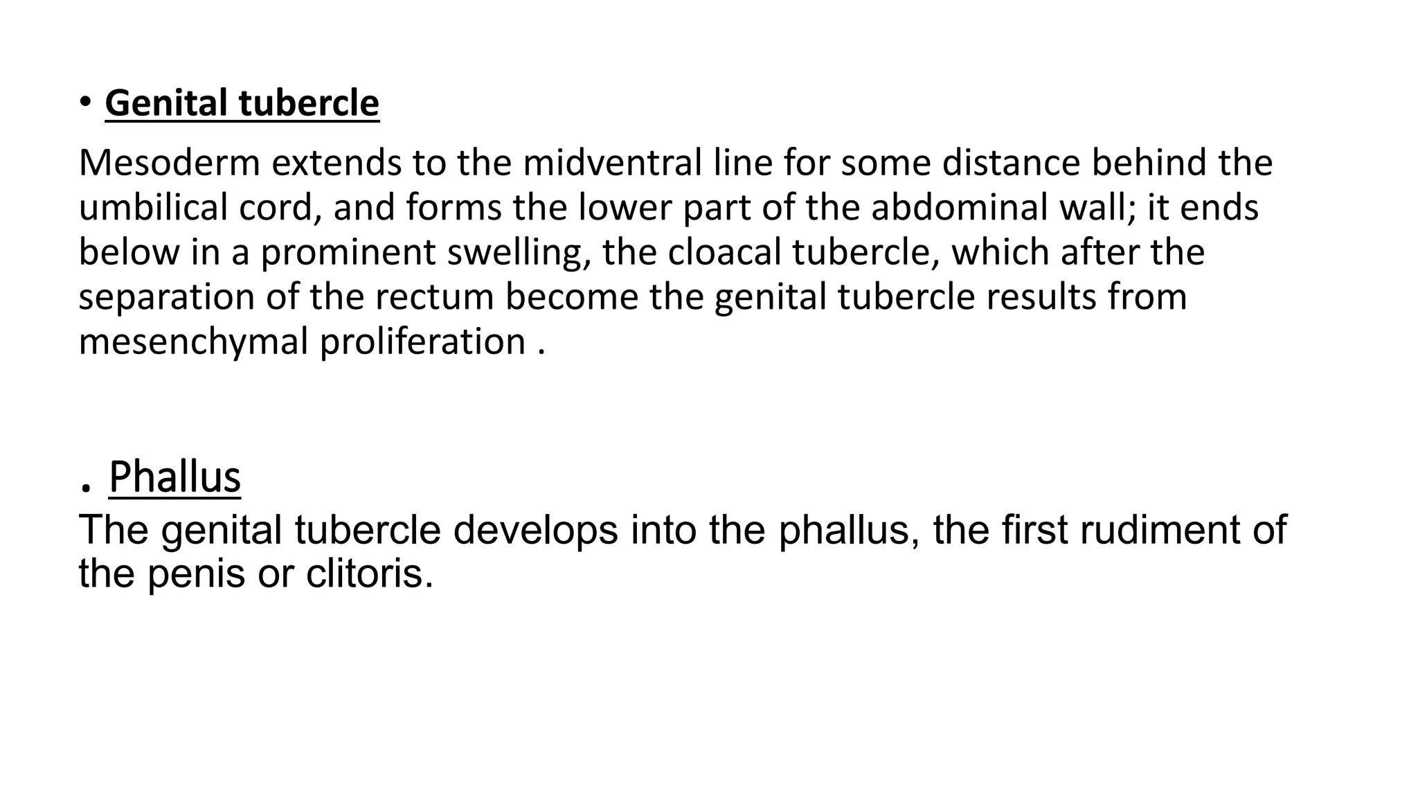 Development of female external genitalia | PPTX