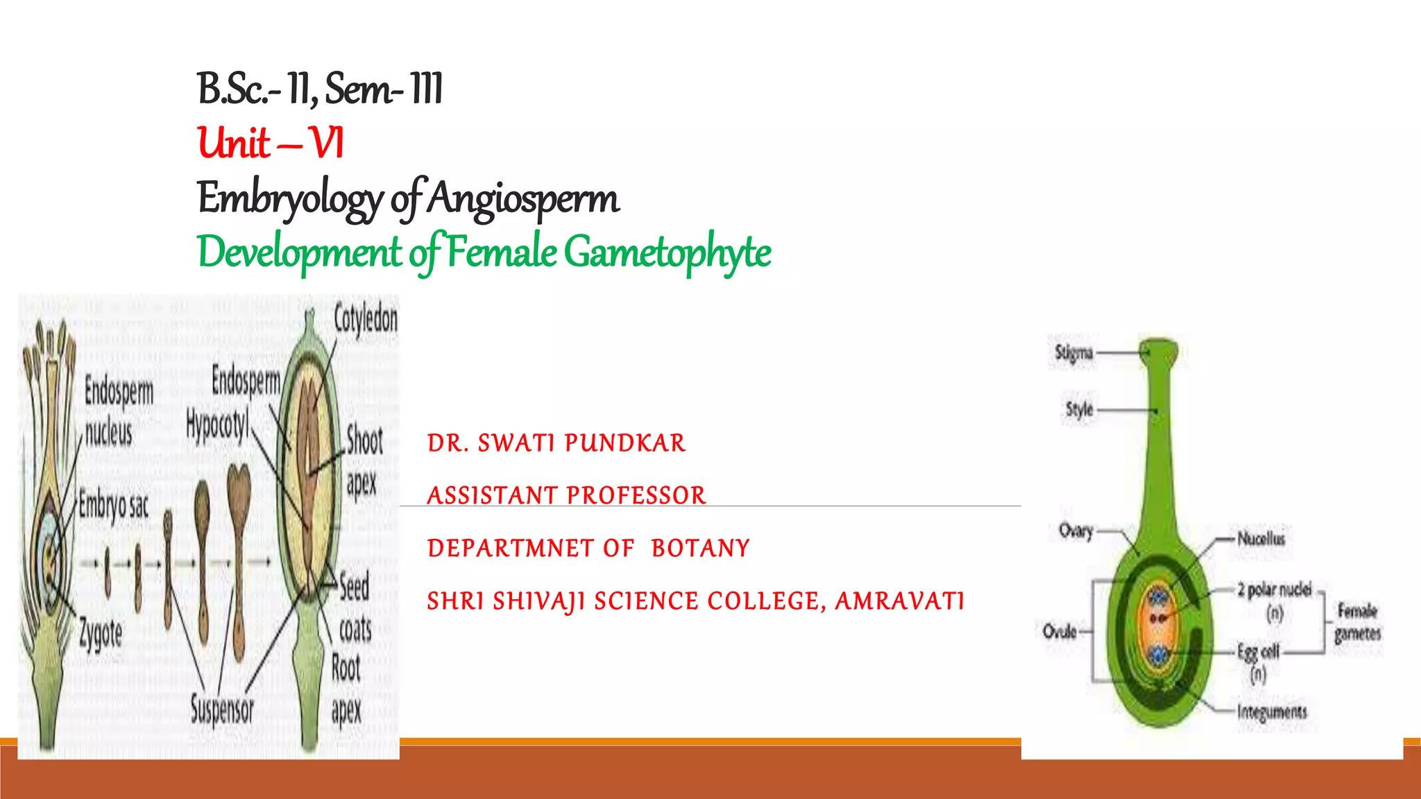 Development of female gametophyte | PPTX