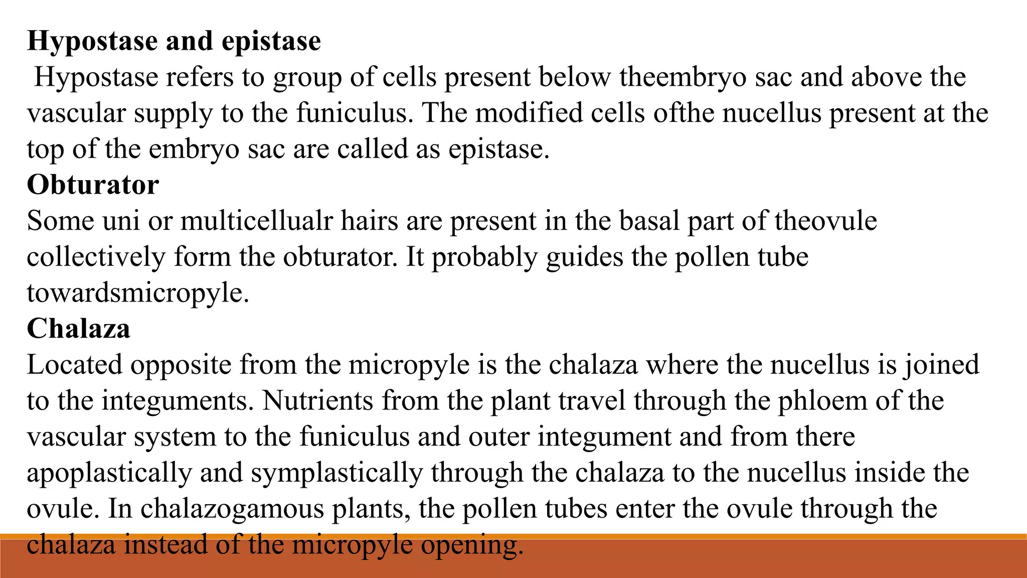 Development of female gametophyte | PPTX
