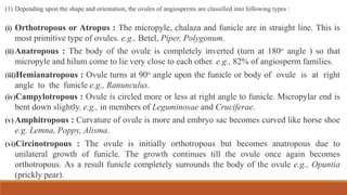 Development of female gametophyte | PPTX