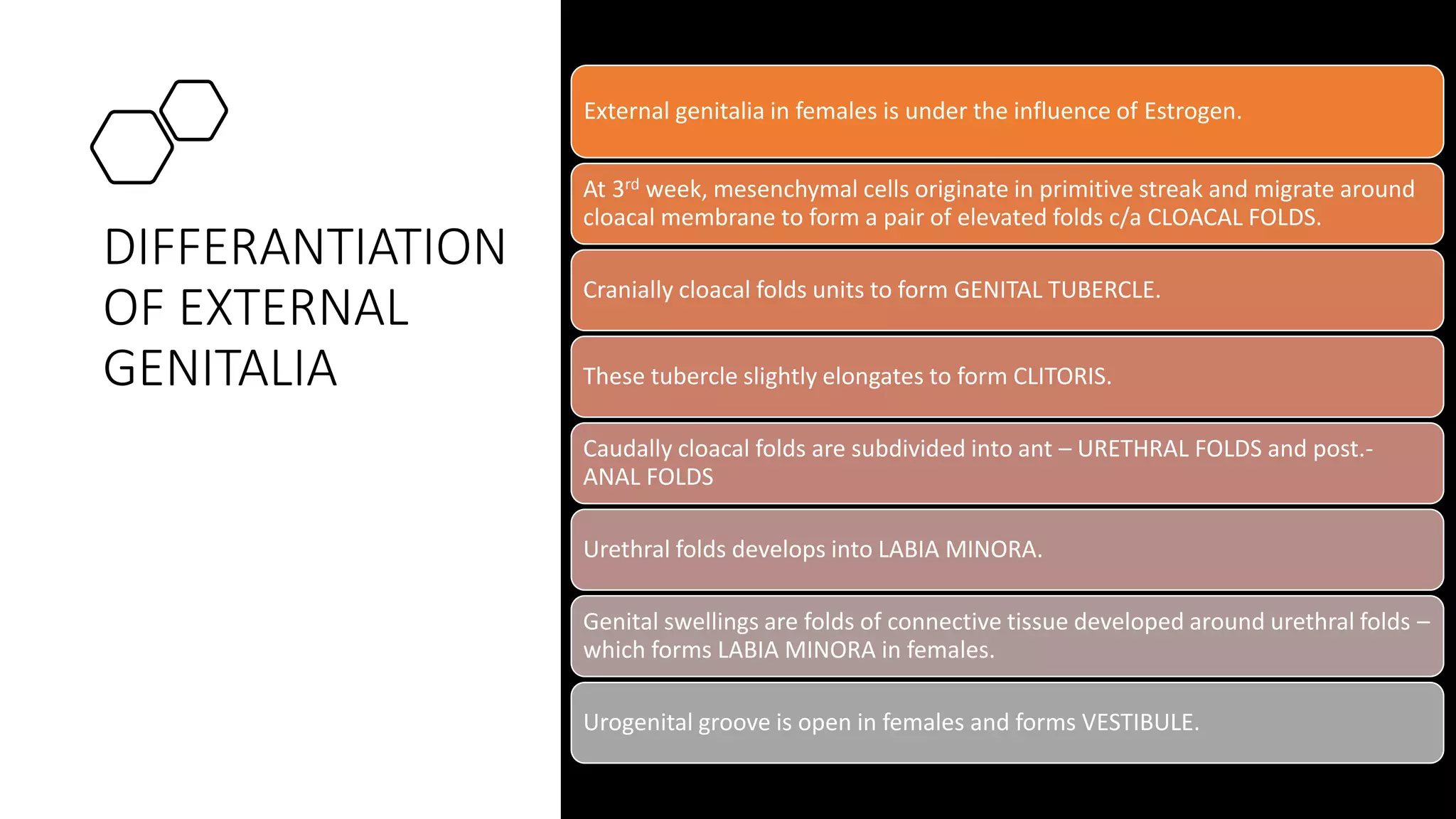 Development of female genital tract | PPTX