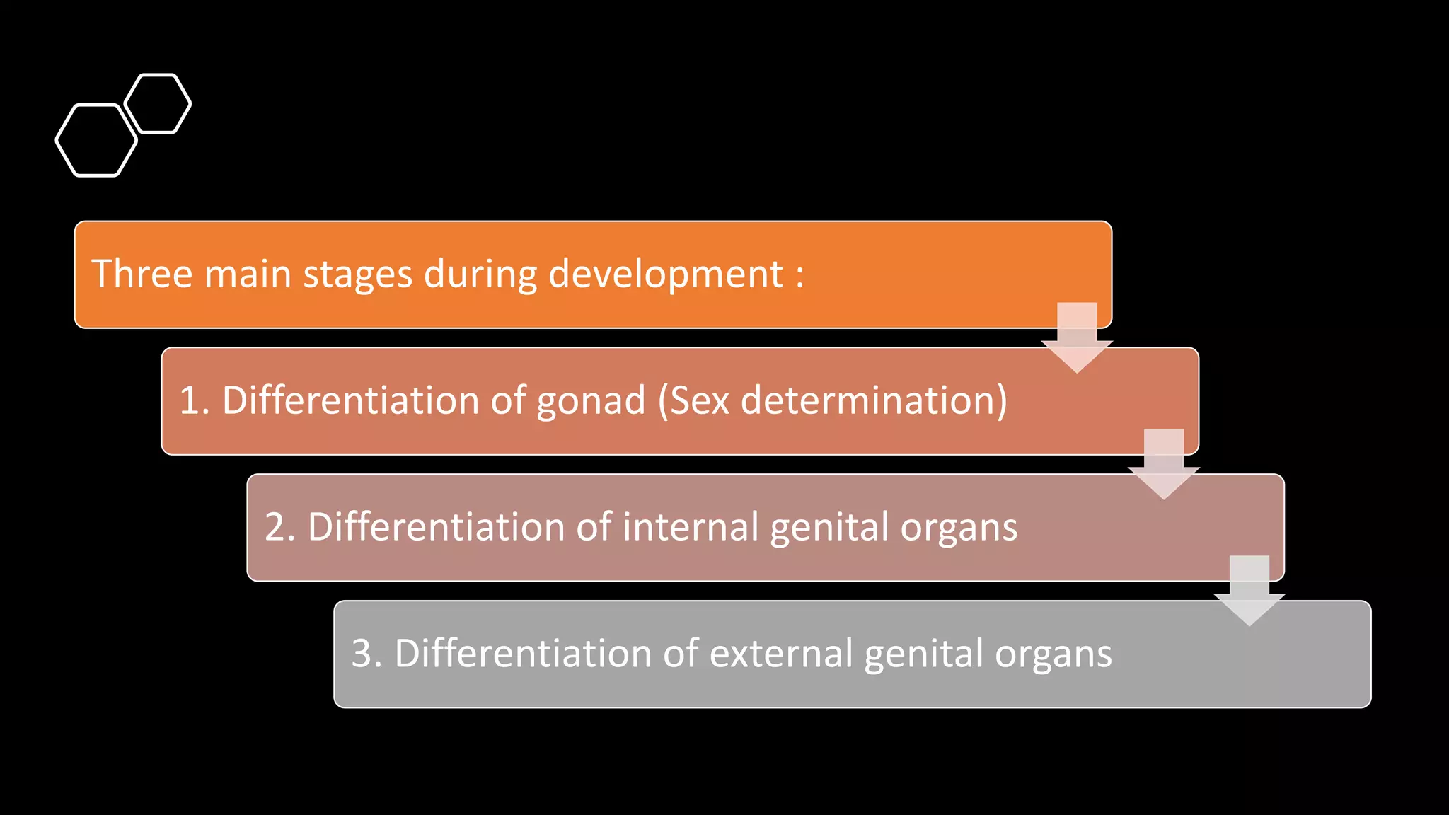 Development of female genital tract | PPTX
