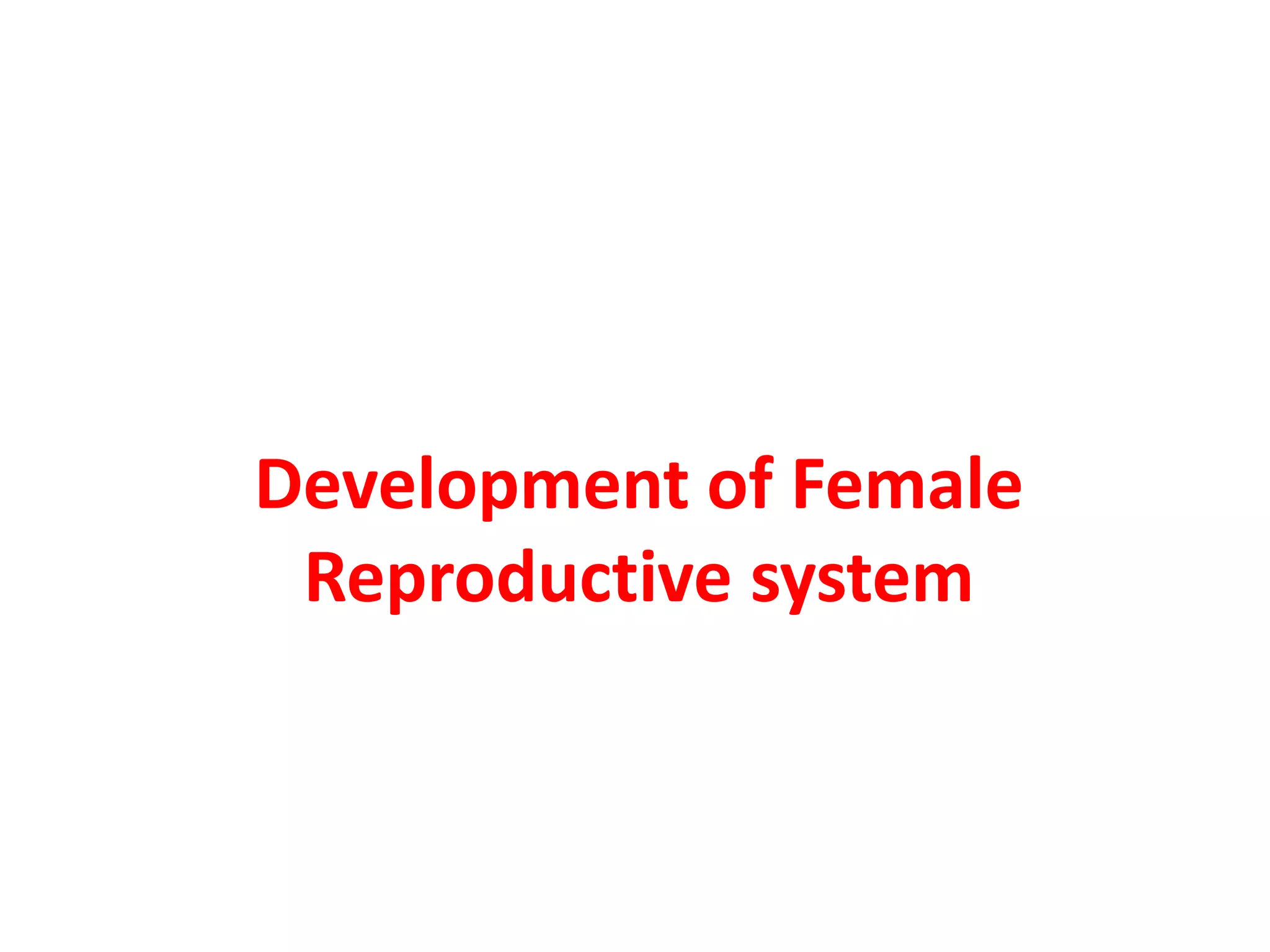 Development of Female Reproductive system.pptx