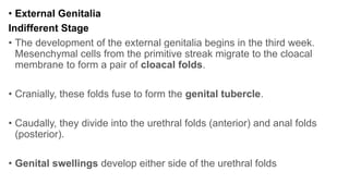 Development of FEMALE REPRODUCTIVE SYSTEM.pptx