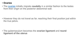 Development of FEMALE REPRODUCTIVE SYSTEM.pptx
