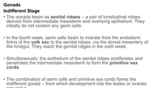 Development of FEMALE REPRODUCTIVE SYSTEM.pptx