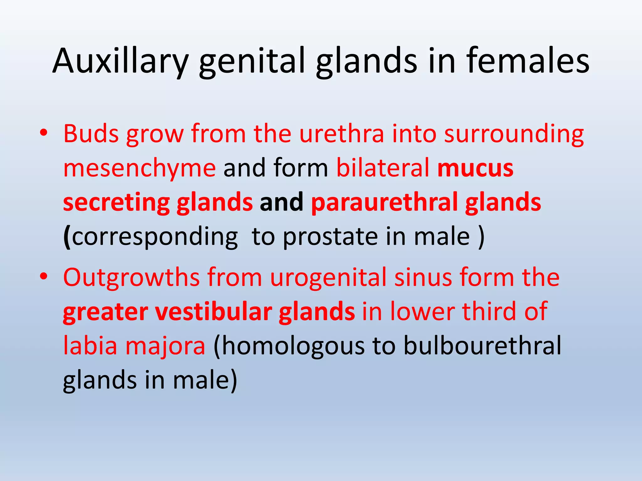 Development of female reproductive system | PPTX