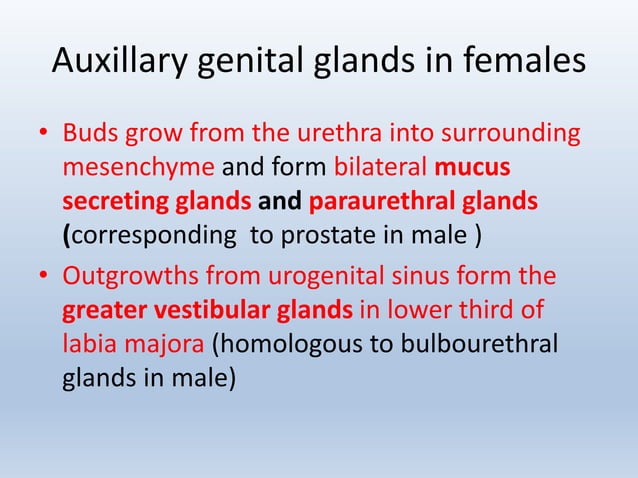 Development of female reproductive system | PPTX | Reproductive Health ...