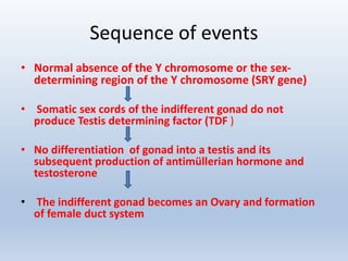 Development of female reproductive system | PPTX
