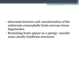Development of forebrain by DR.ARSHAD | PPTX